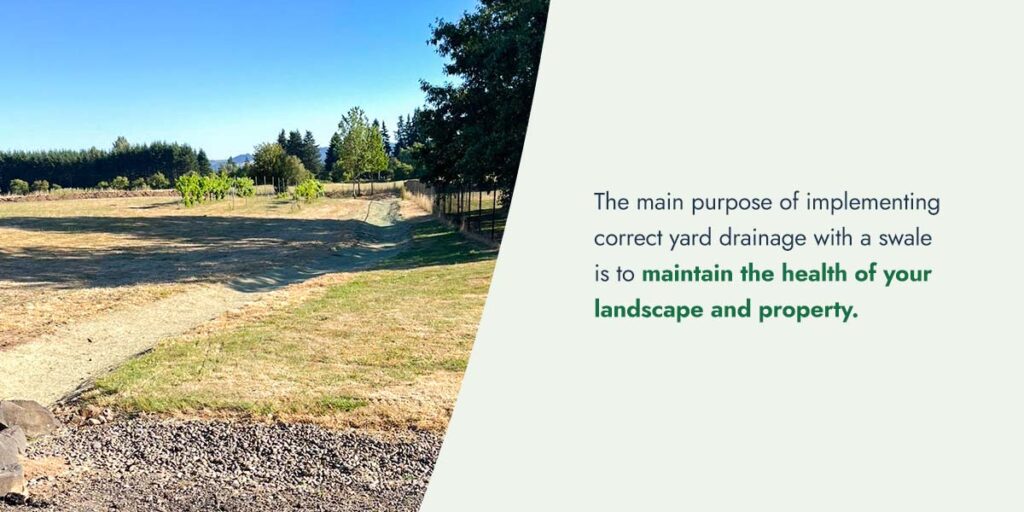 What Is a Swale? Here's Why You May Need One - Drainage Masters